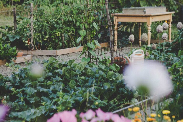 How to Ensure You Have a Zero-Waste Garden – Clean Air Gardening
